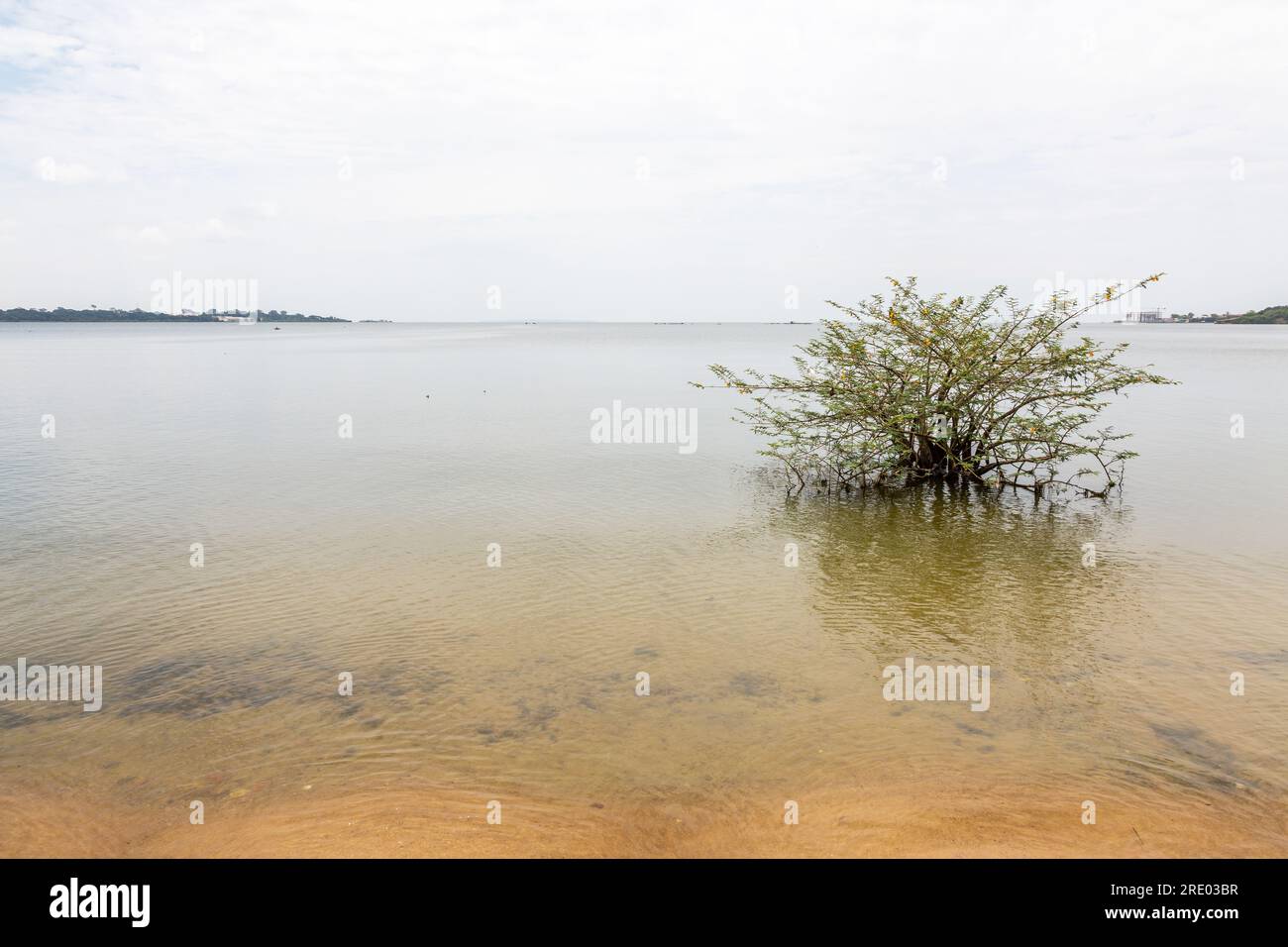 Sienna Beach, bordering Lake Victoria in Entebbe, Uganda Stock Photo ...