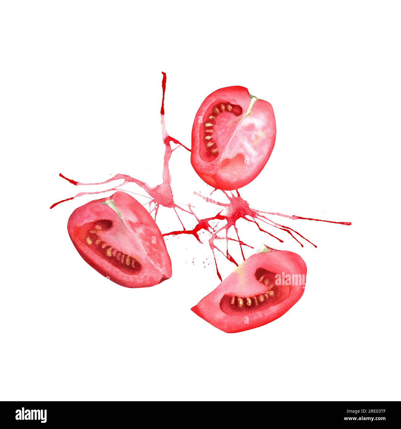 A composition of red tomato slices and splashes. Watercolor ...