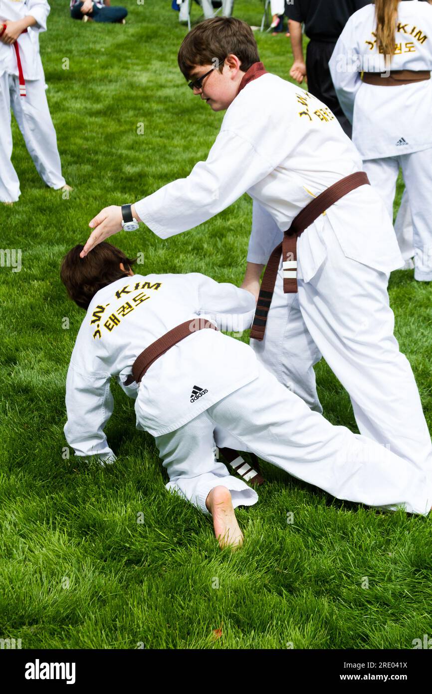 Tae Kwon Do Stock Photo - Alamy