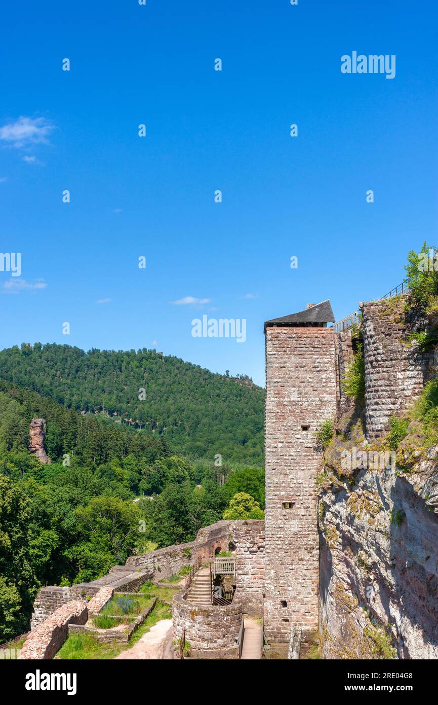 Fleckenstein hi-res stock photography and images - Alamy