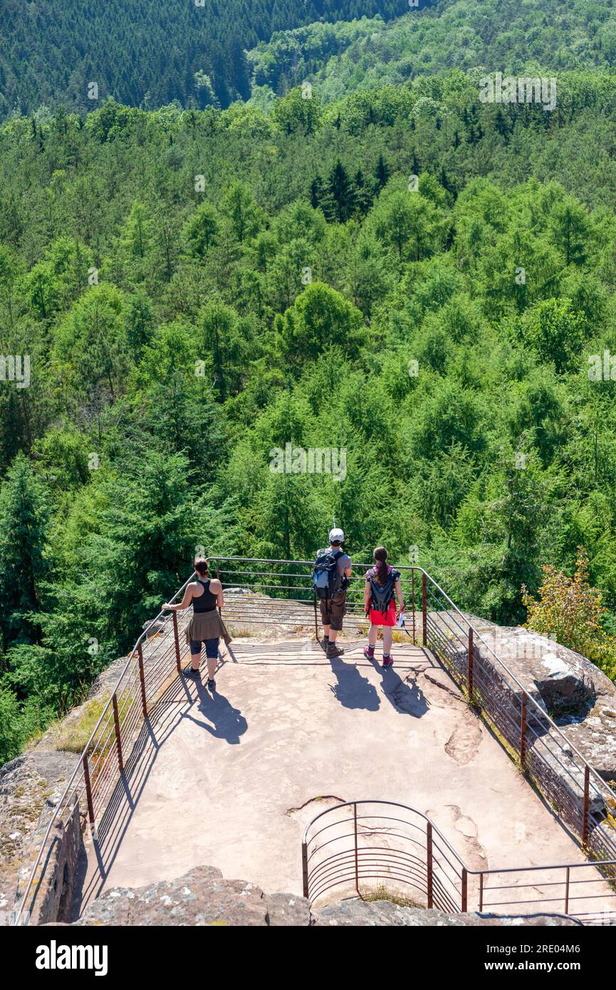 Panoramic plateau of ruins of Fleckenstein Castle with view of Vosges ...