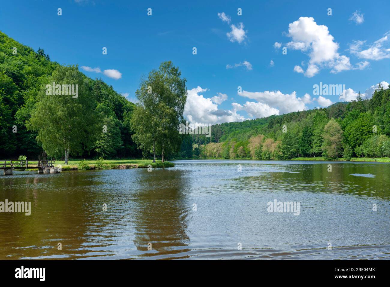 Landscape at bathing lake Fleckensteiner Weiher, Lembach, Alsace ...