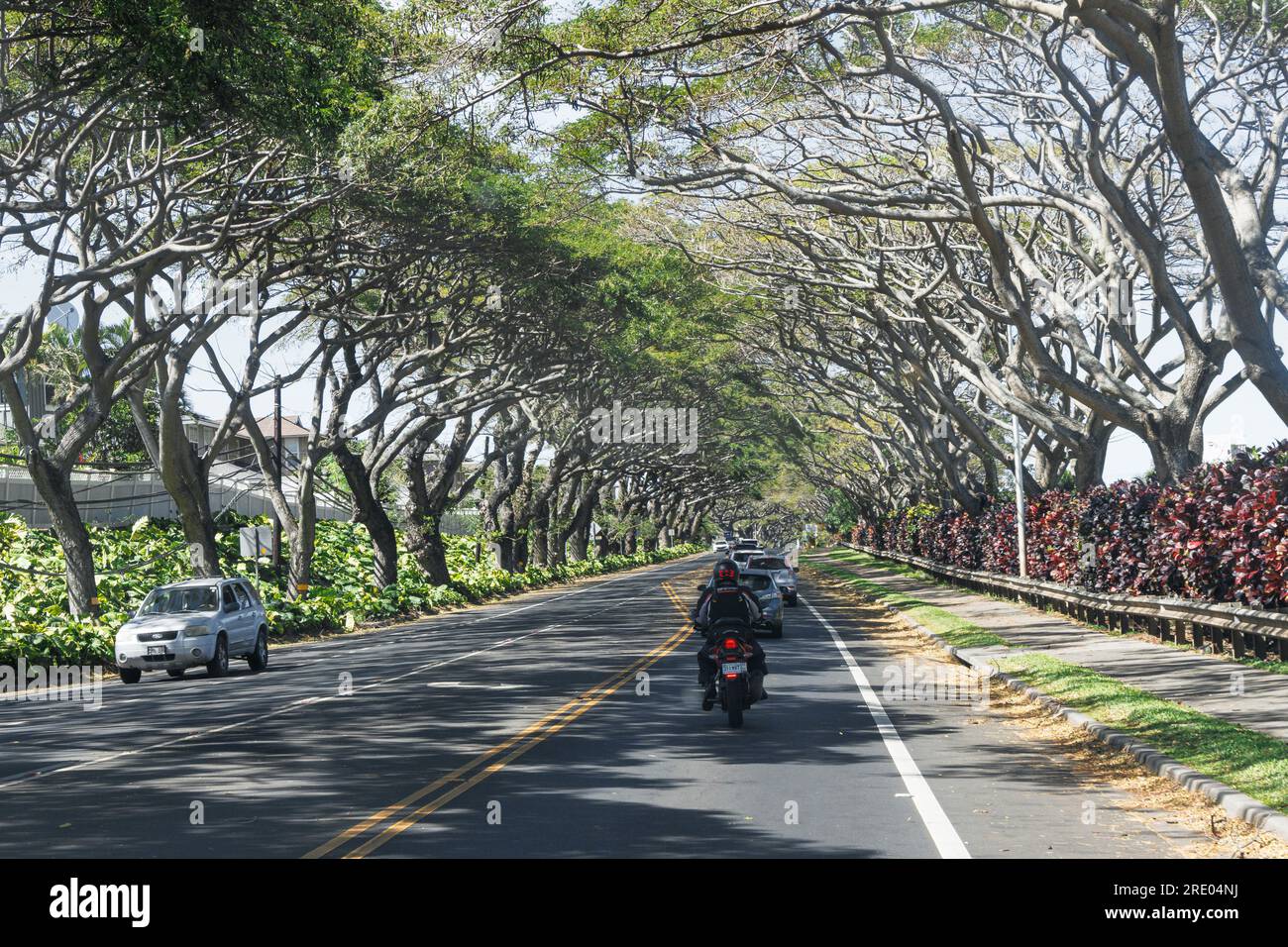Canopies hi-res stock photography and images - Alamy