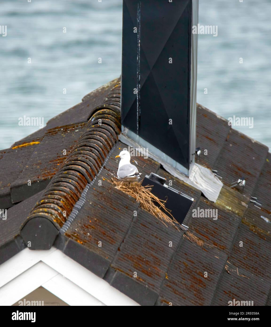 Roof ground hi-res stock photography and images - Alamy