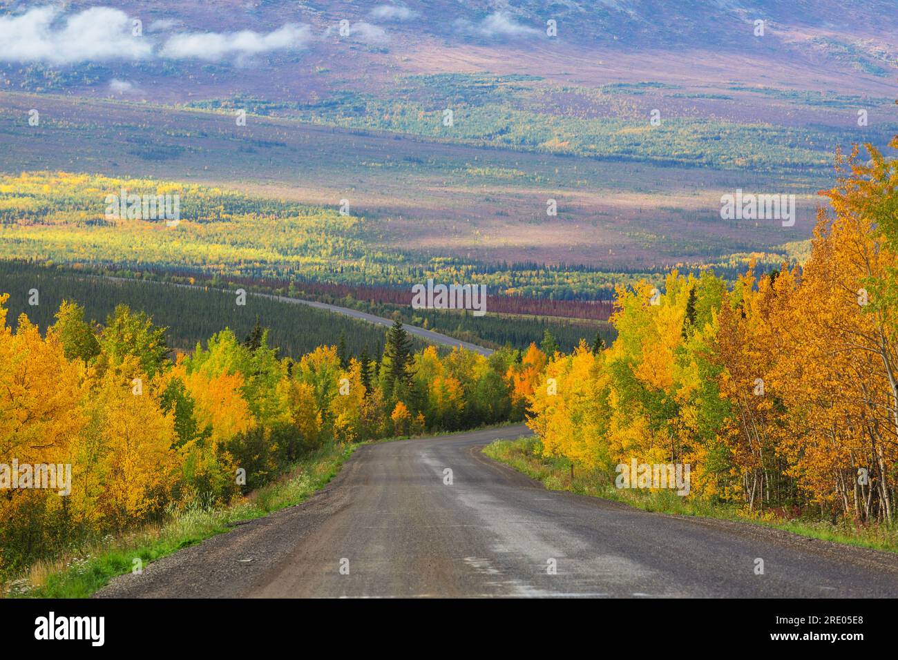 Tundra landscapes above Arctic circle in autumn season. Beautiful ...