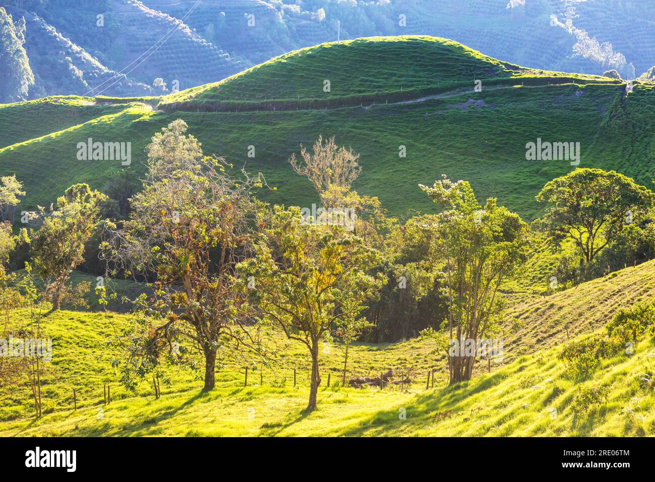 Rural landscapes in green colombian mountains Stock Photo - Alamy