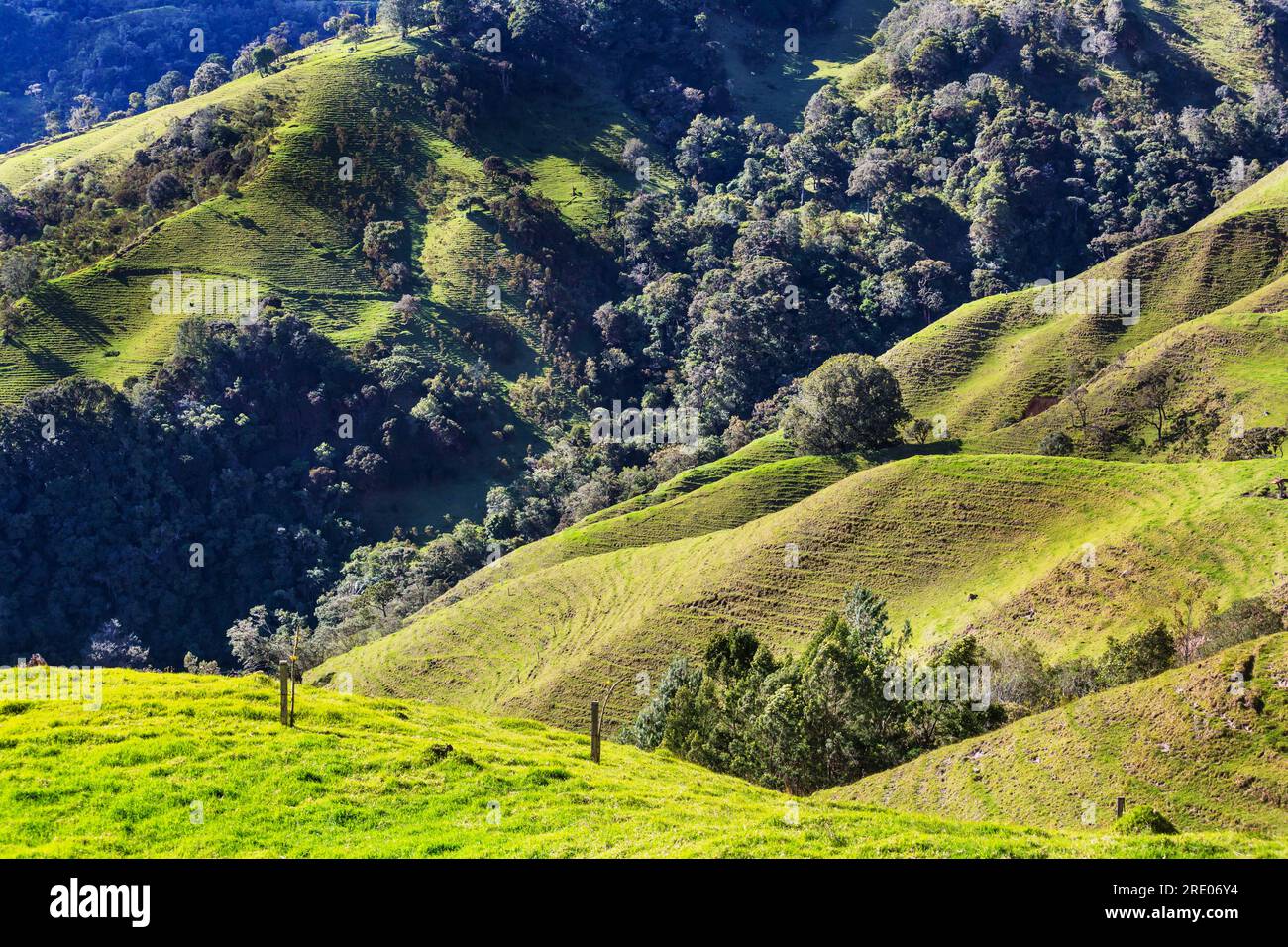Rural landscapes in green colombian mountains Stock Photo - Alamy