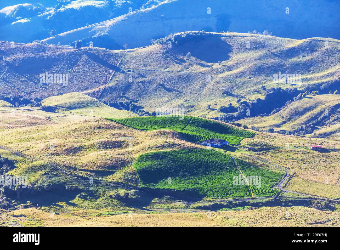 Green rural landscapes in Colombian mountains, South America Stock ...