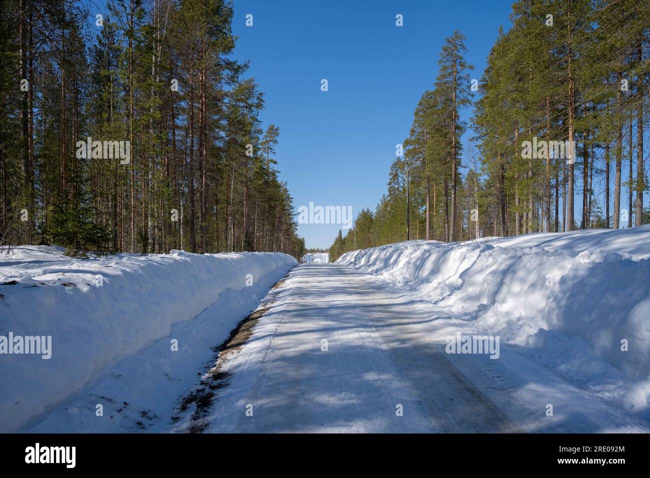 A trypical fast, undulating Finish forest track in winter Stock Photo ...