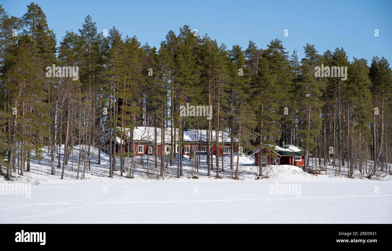 The Wildlife Safaris base camp in the boreal forest at Kuikka, in ...