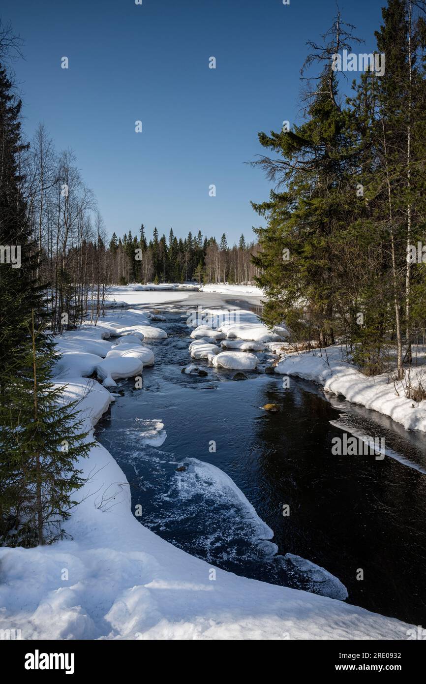 A frozen stream in the Boreal forest at Kuikka near the Russian border ...