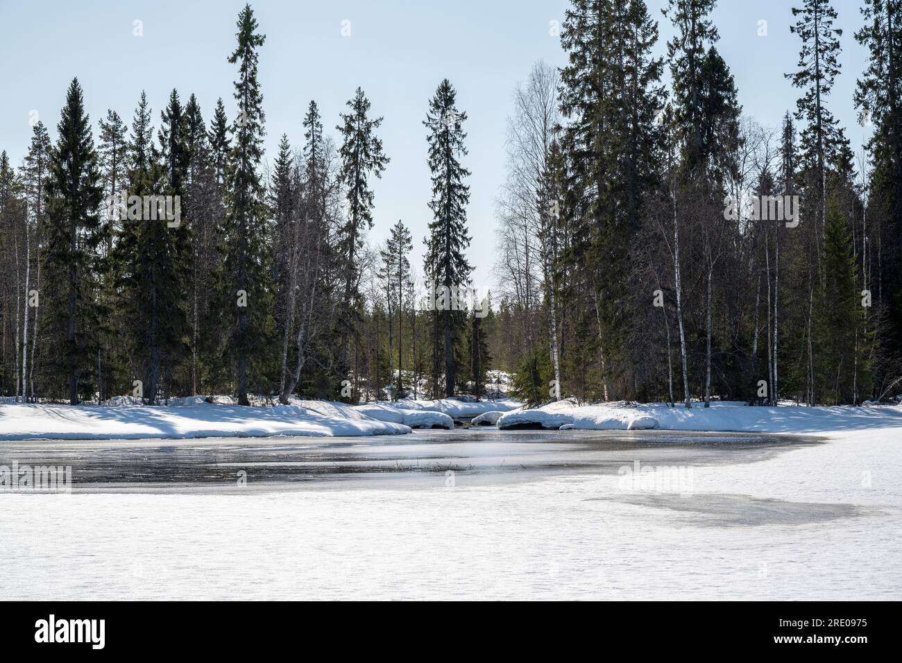 A frozen lake iin the boreal forest of Finland at Kuikka Stock Photo ...