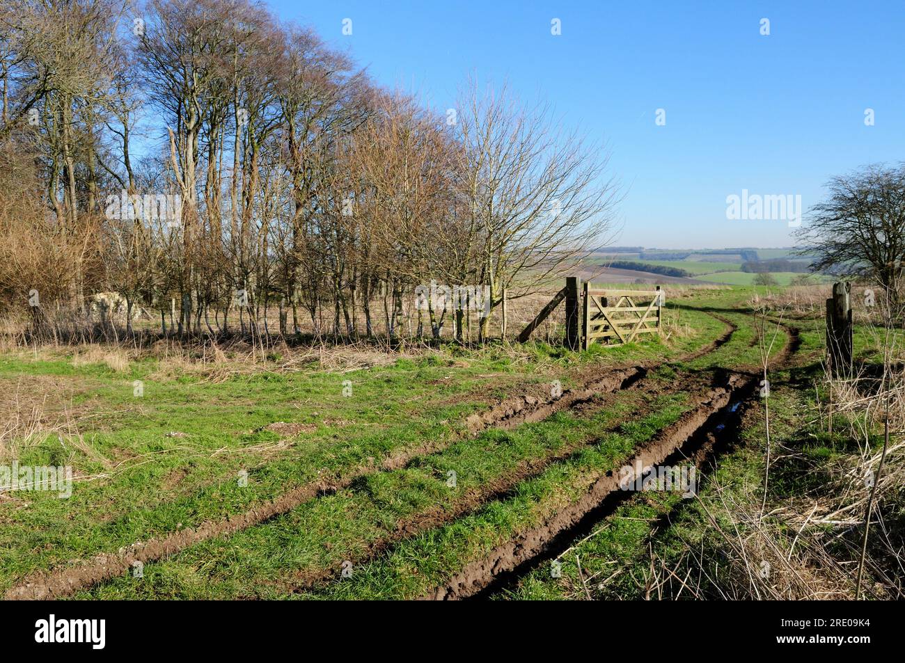 Open gateway hi-res stock photography and images - Alamy