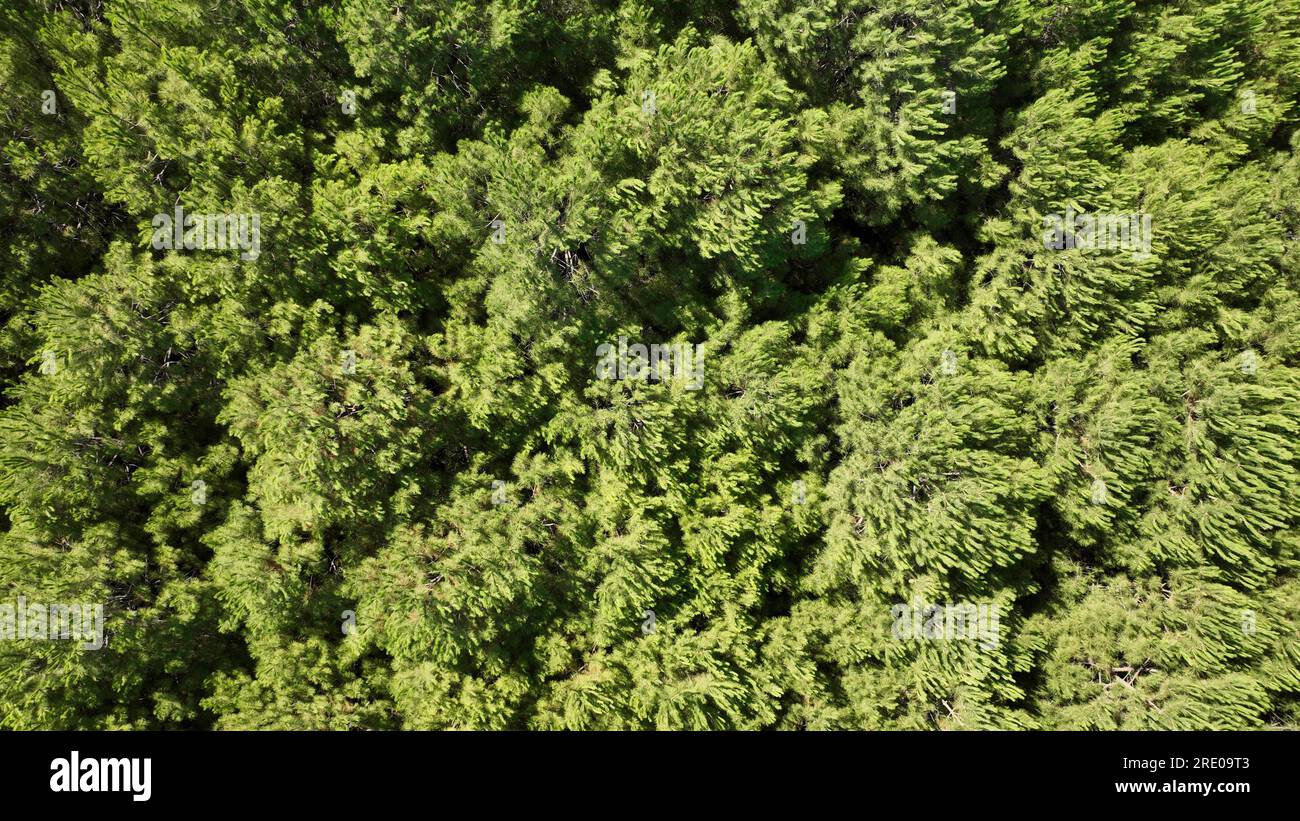 Top quality landscapes hi-res stock photography and images - Alamy