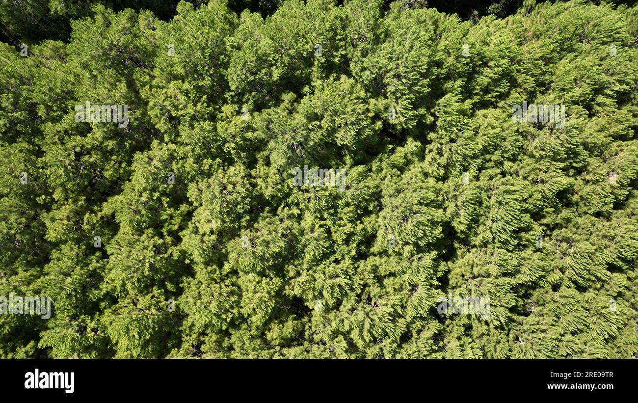 Top quality landscapes hi-res stock photography and images - Alamy