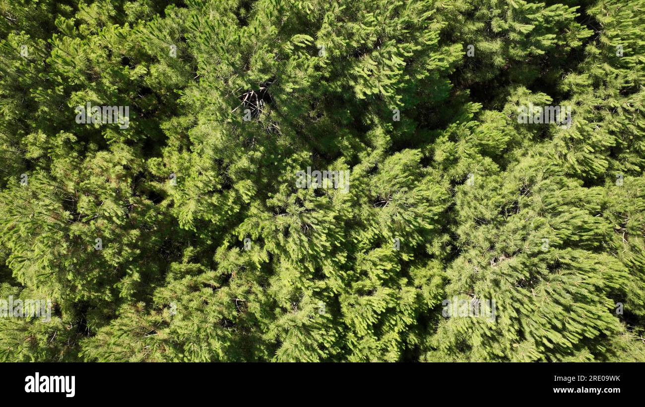 Top quality landscapes hi-res stock photography and images - Alamy