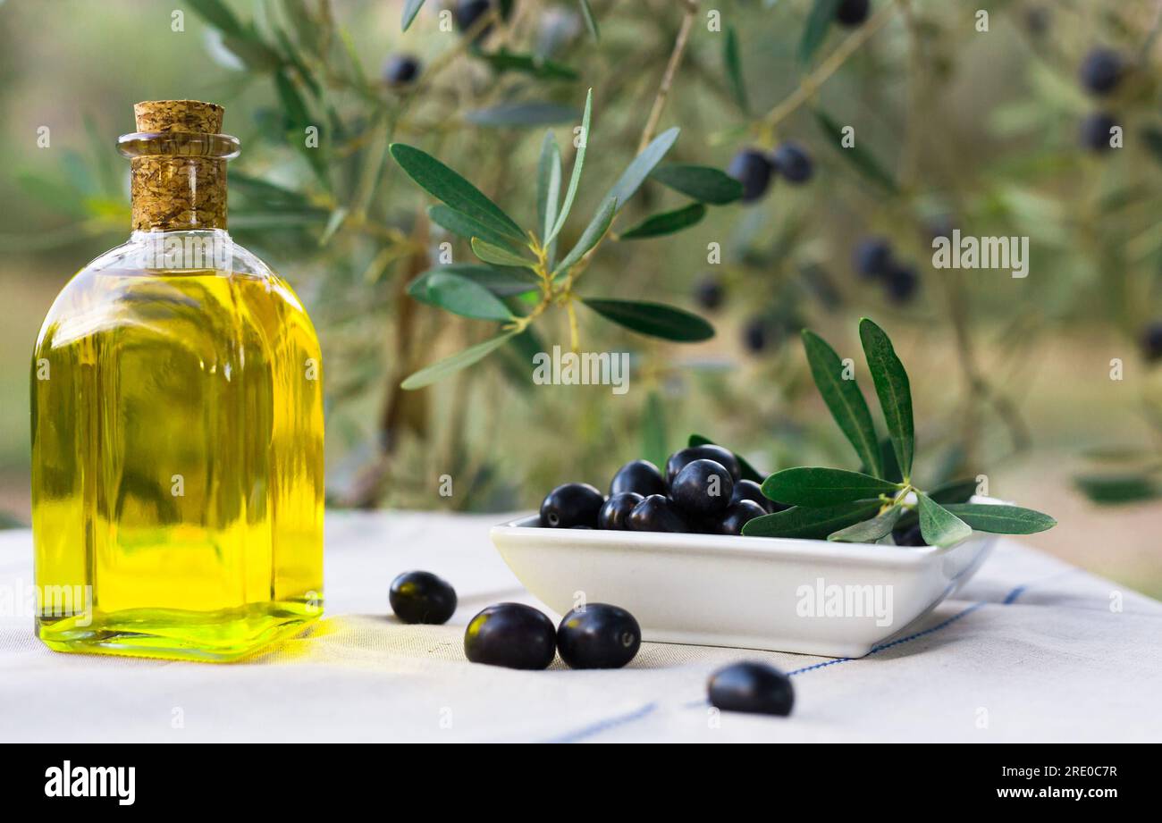 Still life of olives and oil on a table against a background of olive ...