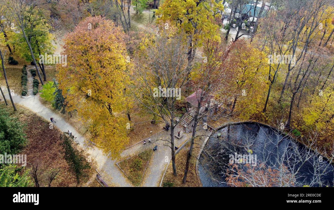 Beautiful view of park, trees with yellow falling leaves, architecture ...