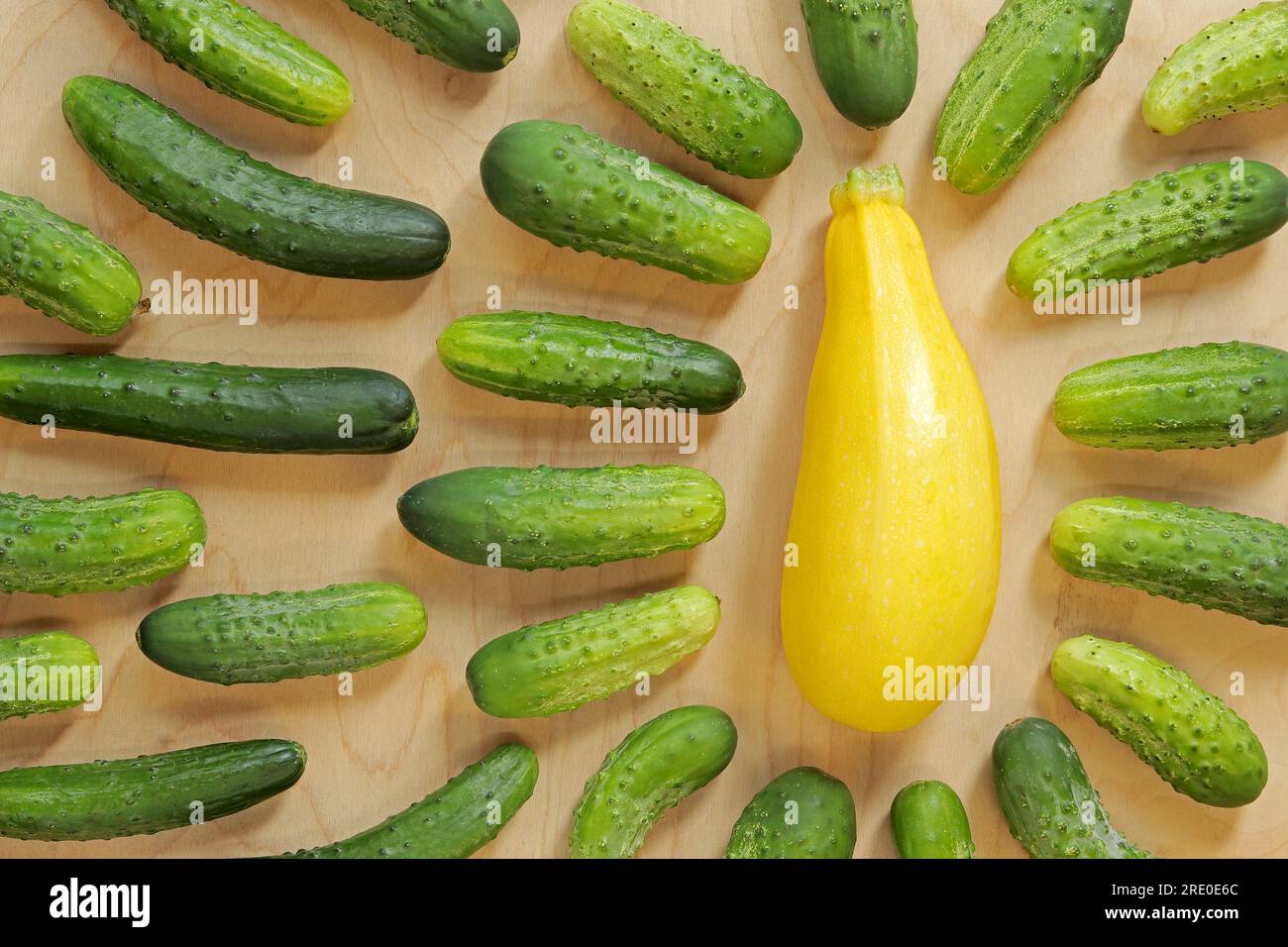 Yellow zucchini and cucumbers, top view. Harvest vegetables, wooden ...