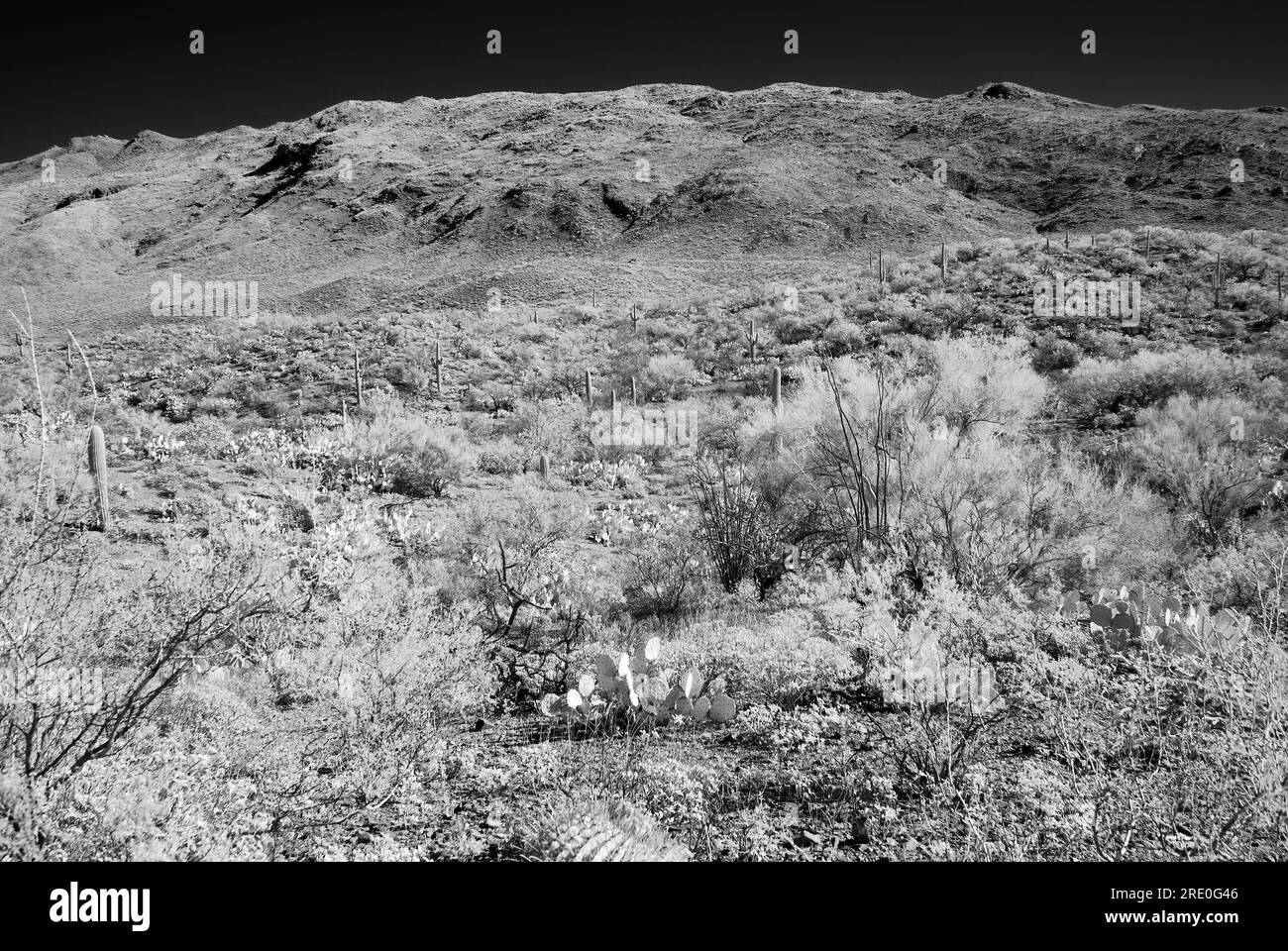 Infrared Sonora desert in central Arizona USA Stock Photo - Alamy