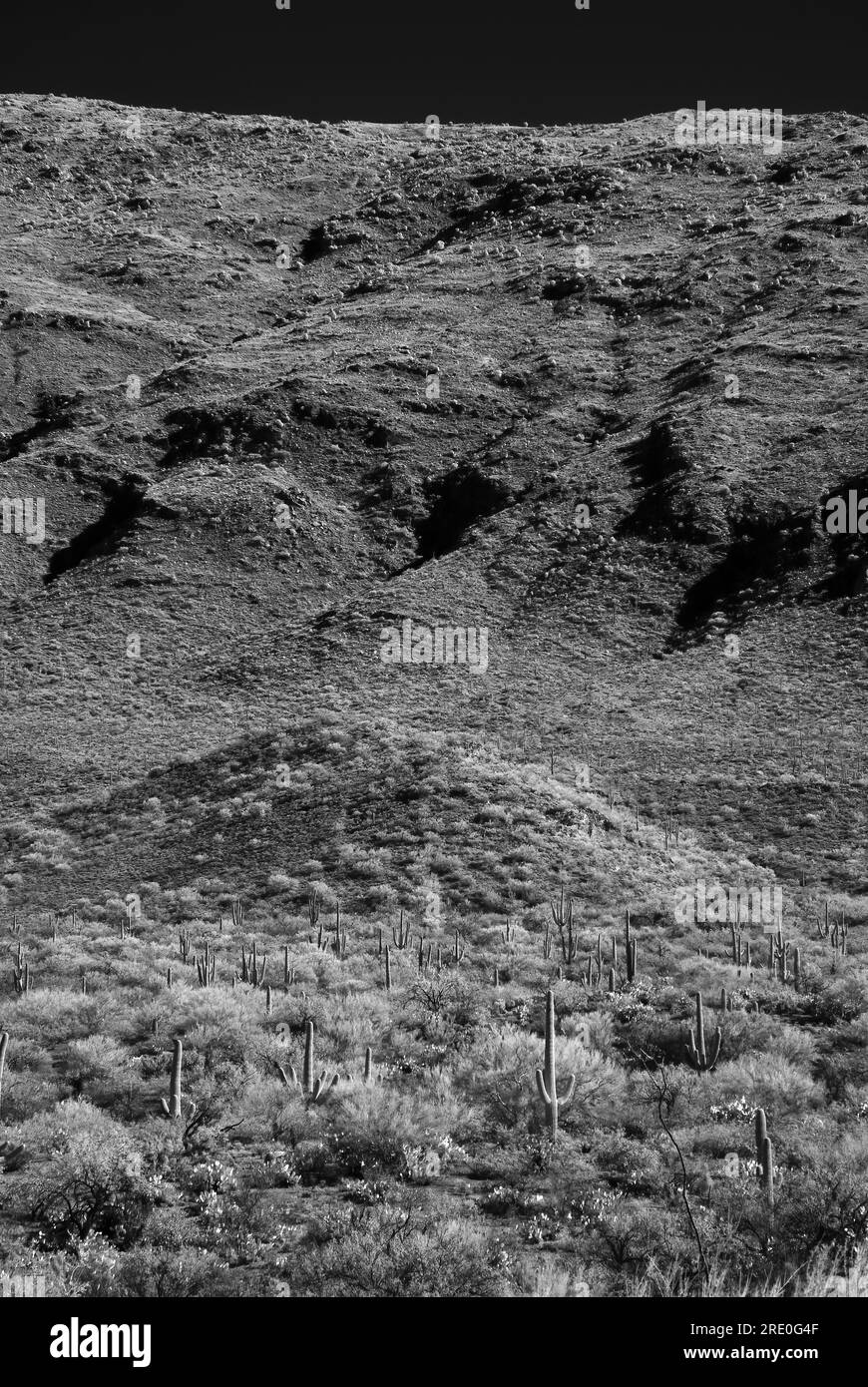 Infrared Sonora desert in central Arizona USA Stock Photo - Alamy