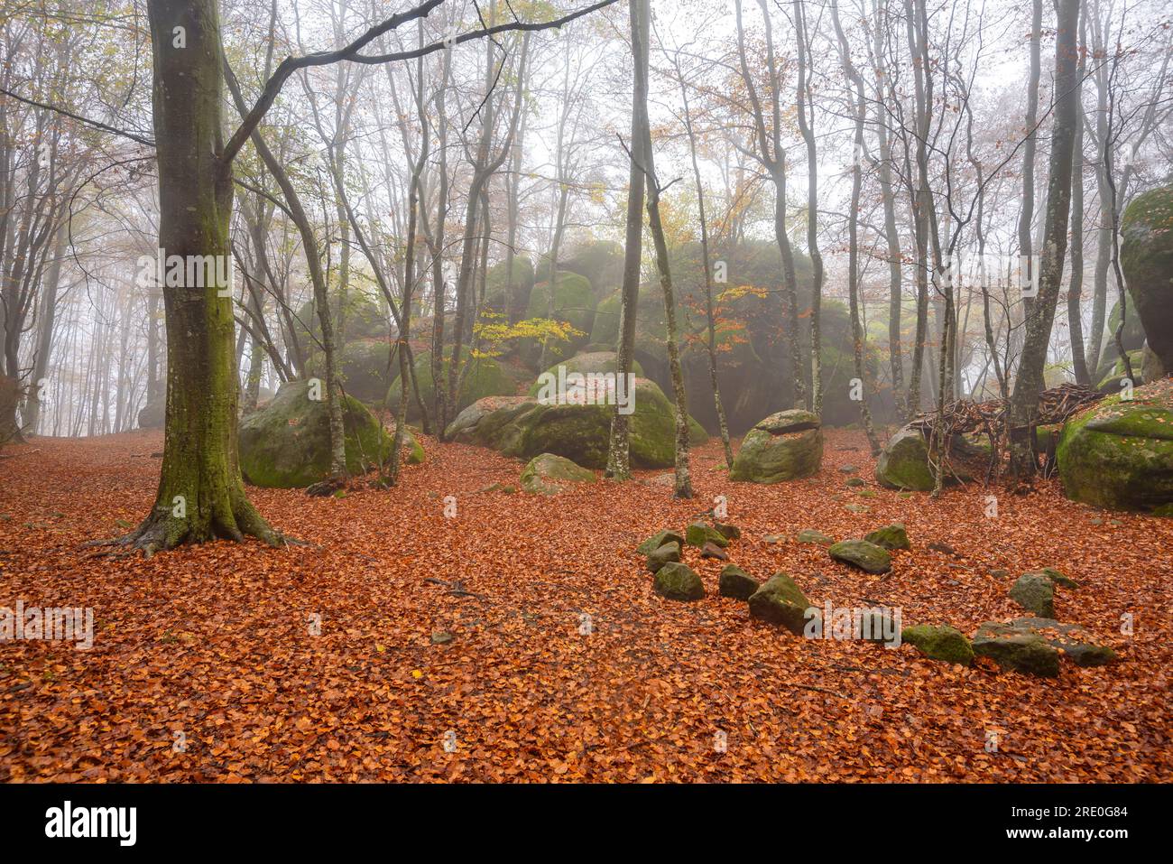 Fageda de les roques encantades hi-res stock photography and images - Alamy