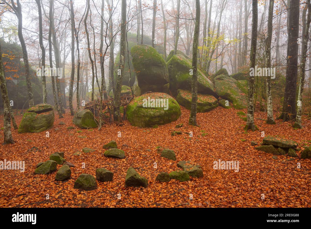 Fageda de les roques encantades hi-res stock photography and images - Alamy