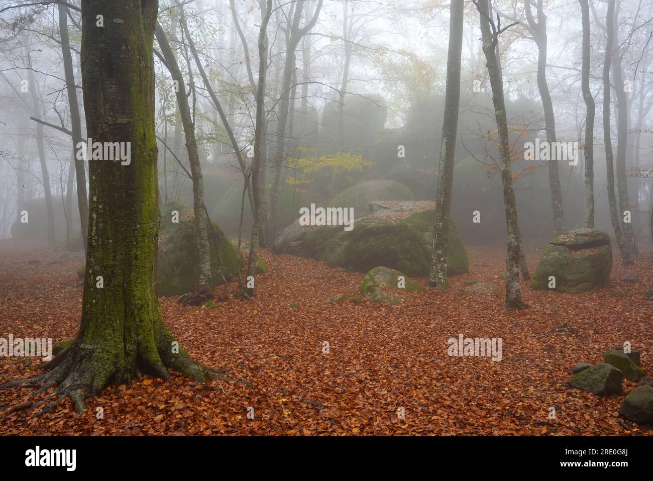 Roques encantades hi-res stock photography and images - Alamy
