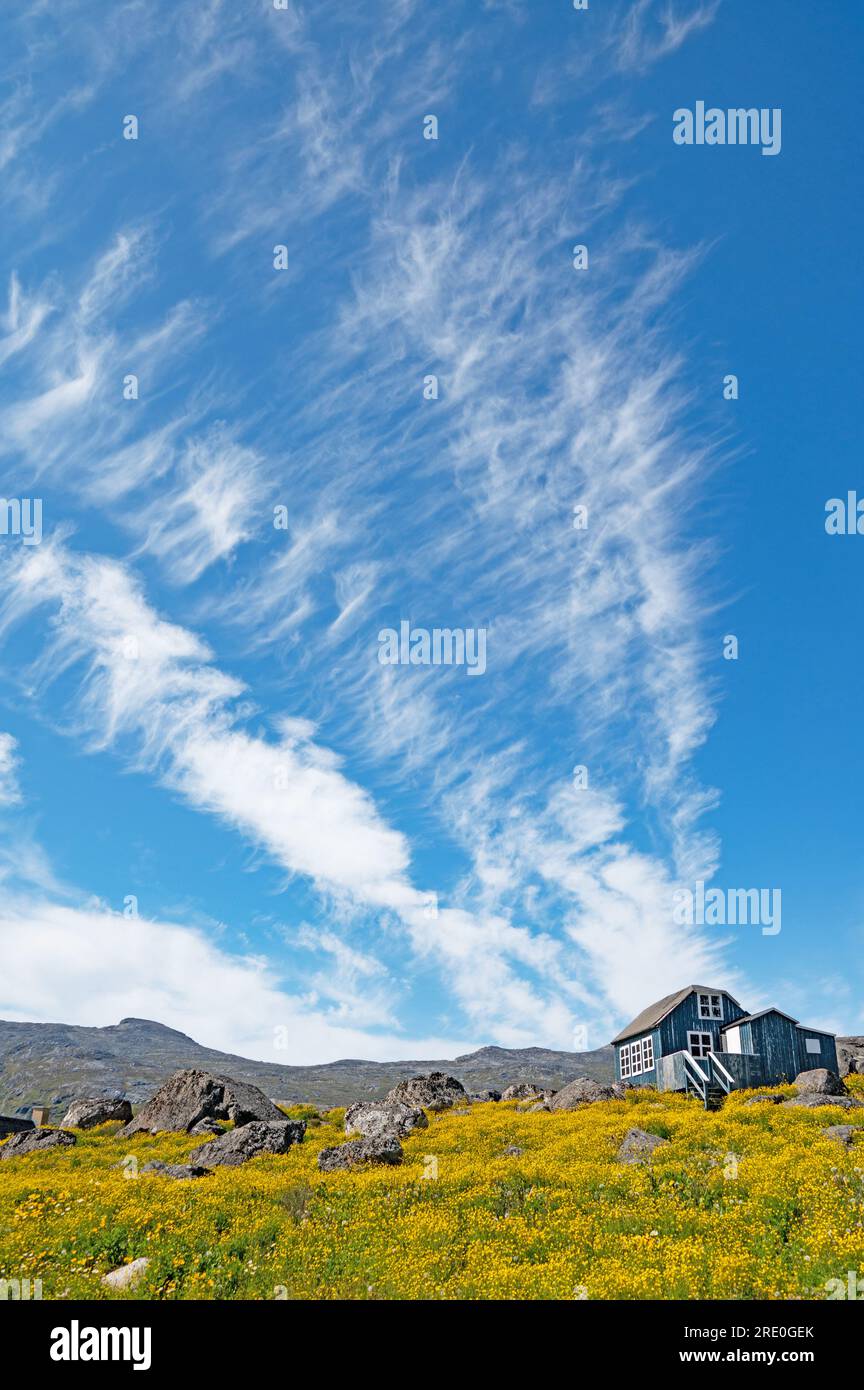 Cirus Uncinus Clouds Greenland Stock Photo - Alamy