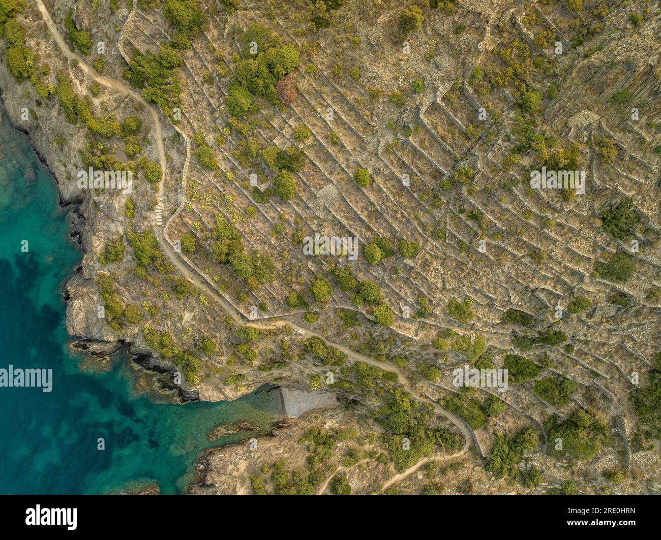 Dry stone walls of old vineyards north of Cap de Creus, next to the ...