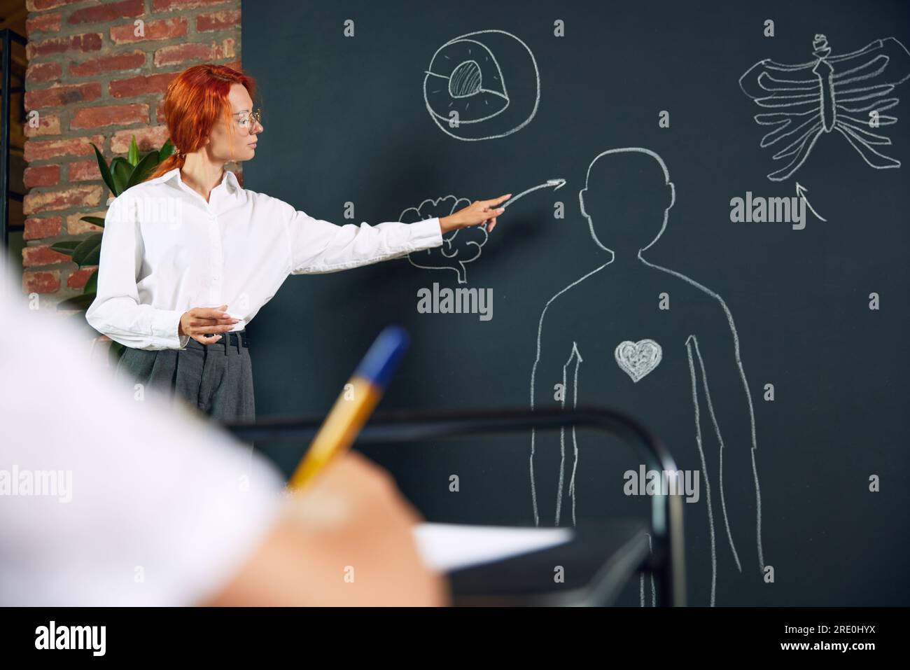Young woman, teacher standing at chalkboard with drawings of human and ...