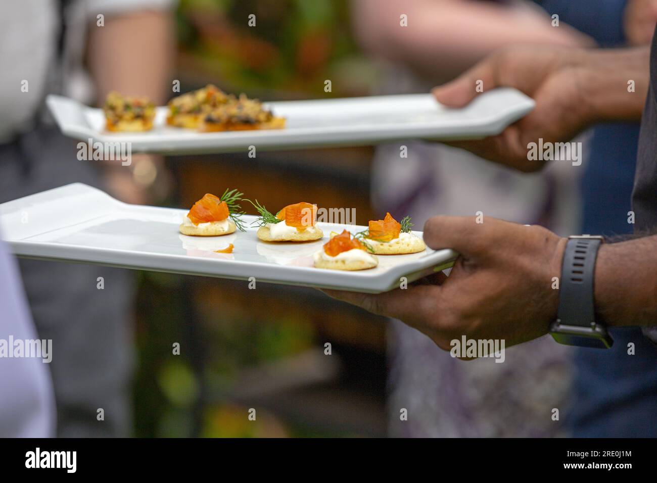 A waiter serving Salmon and Dill canapes at a Wedding reception Stock ...