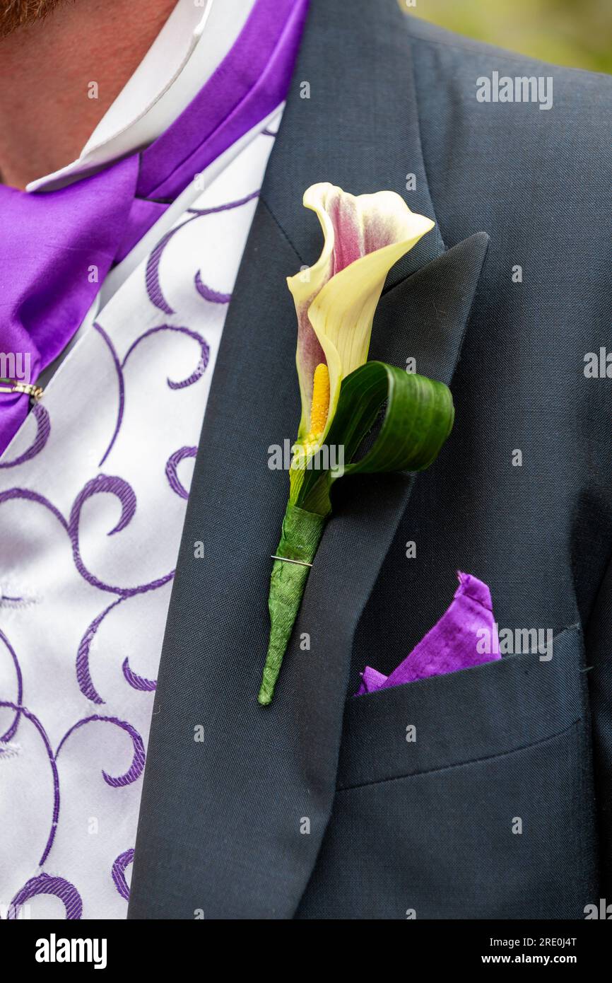 Groom wearing a Calla lily buttonhole Stock Photo - Alamy