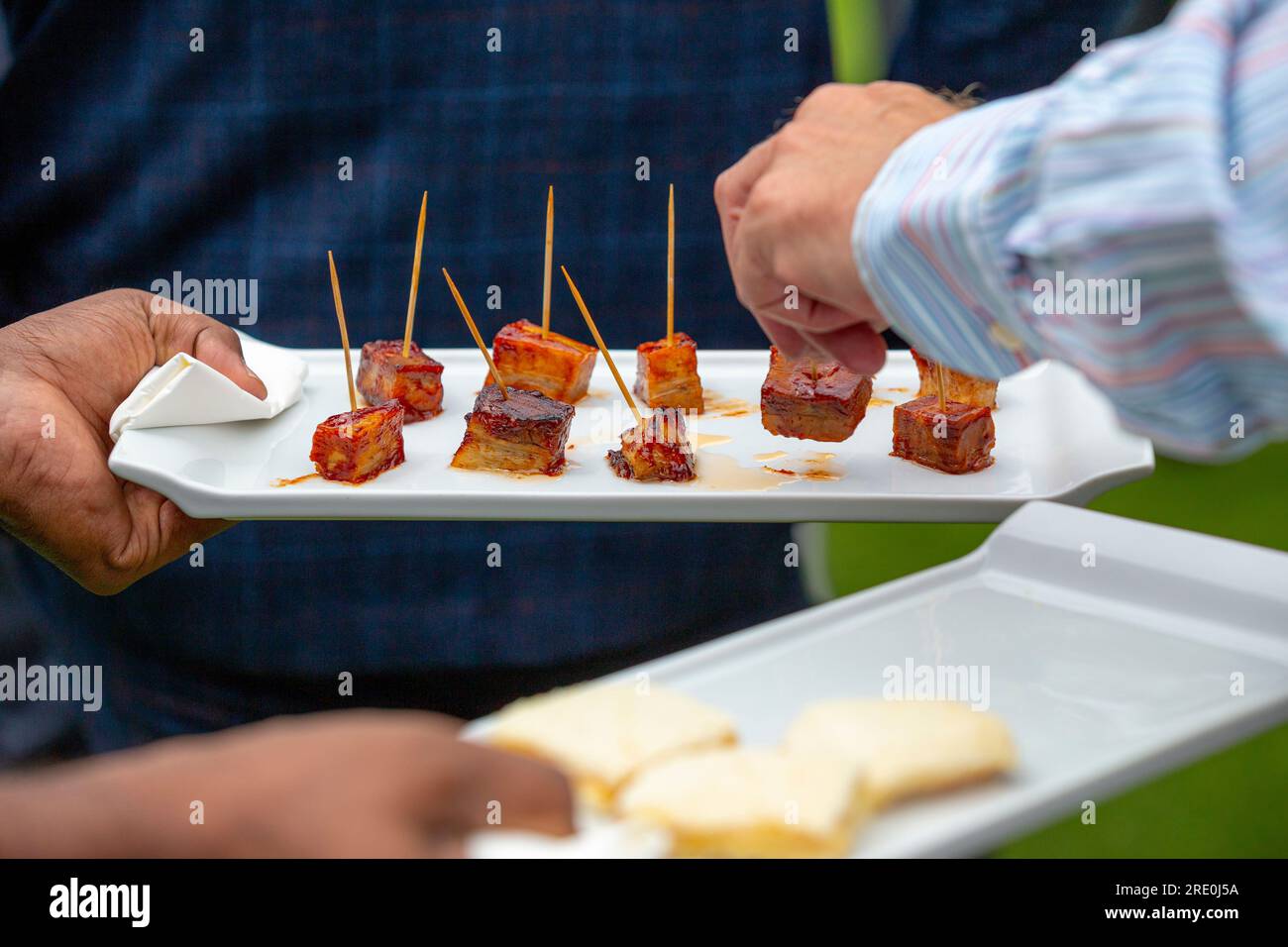 A waiter serving canapes at a Wedding reception Stock Photo - Alamy