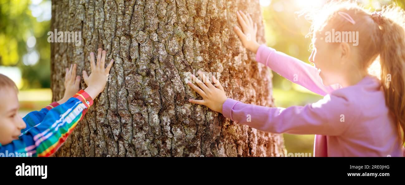 Boy touching tree trunk hi-res stock photography and images - Alamy