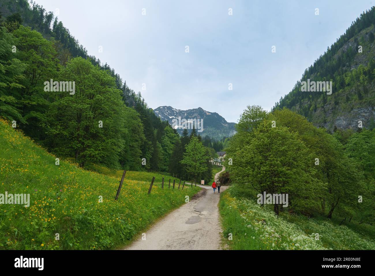 Visit the Hallstatt Salt Mine on a dirt forest trail. Awe-Inspiring ...