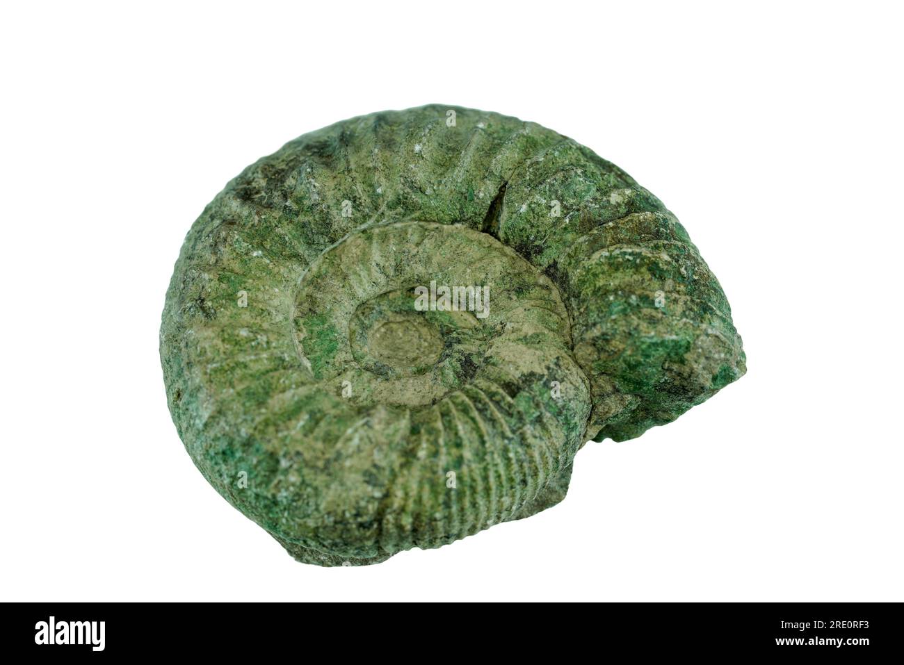 Objects Things Different Isolated Against White Background Stock Photo ...