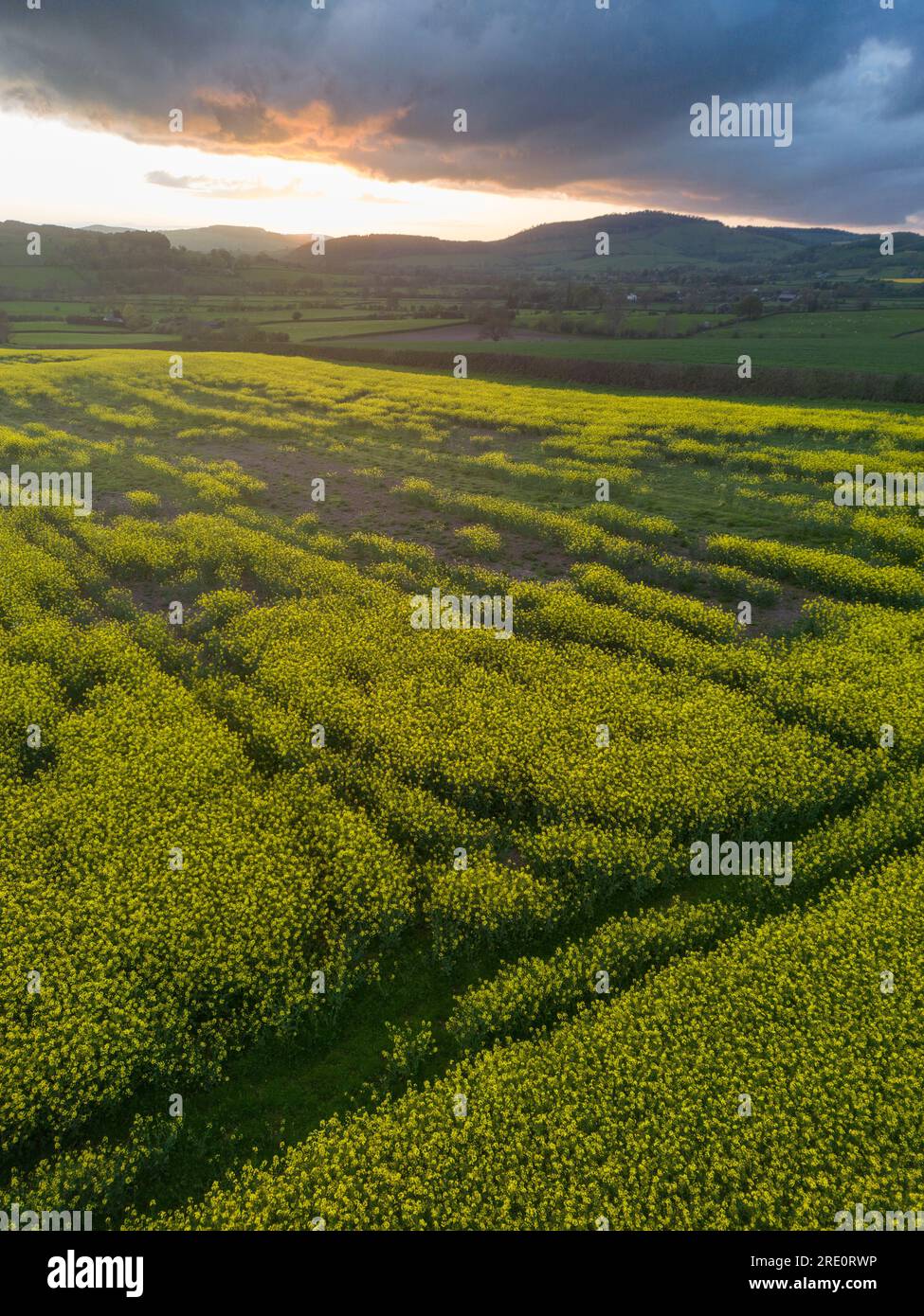 Aerial images of British farmland showing field boundaries and vehicle ...