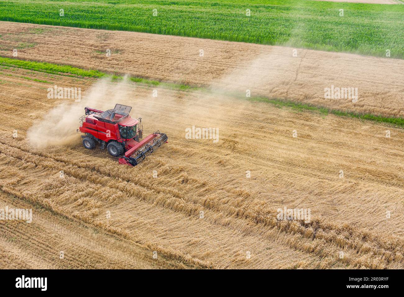 Modern red combine harvesting wheat in the summer. Agriculture aerial ...