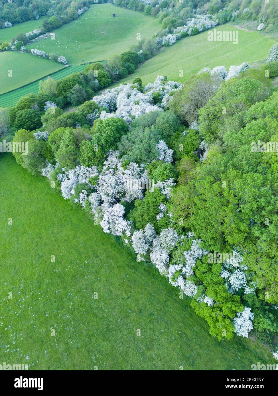 Spring in the Clun Valley, Shropshire, England, UK Stock Photo - Alamy