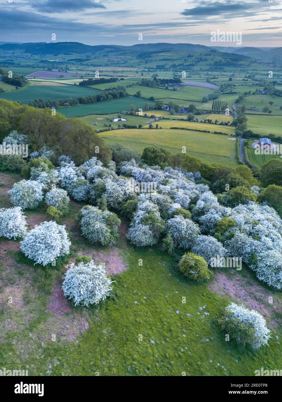 Spring in the Clun Valley, Shropshire, England, UK Stock Photo - Alamy