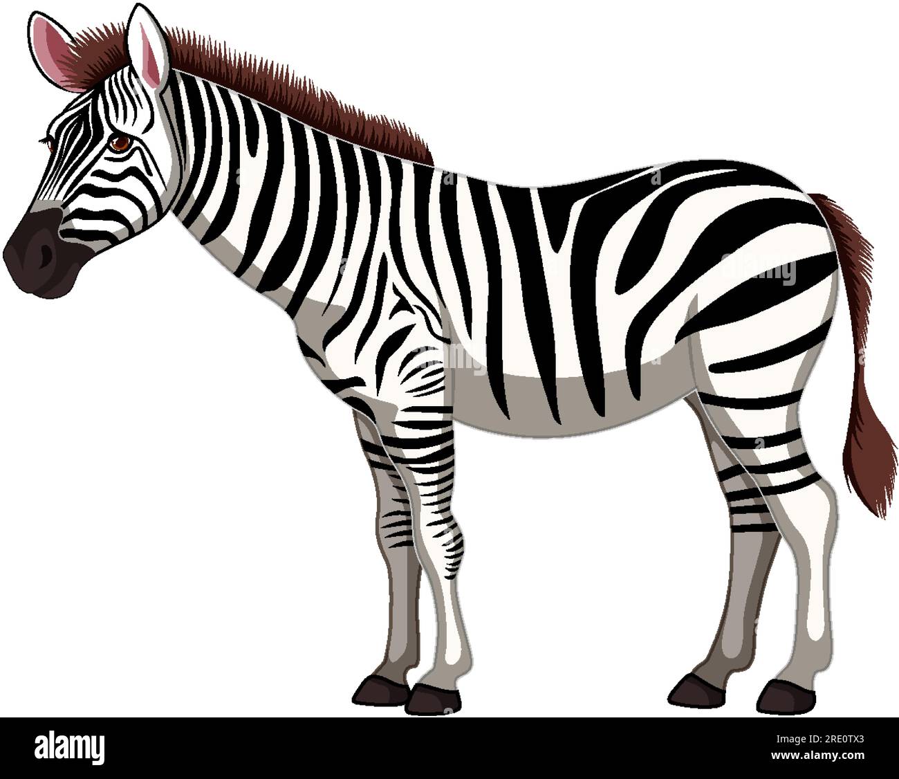 A black and white cartoon zebra isolated on a white background Stock ...