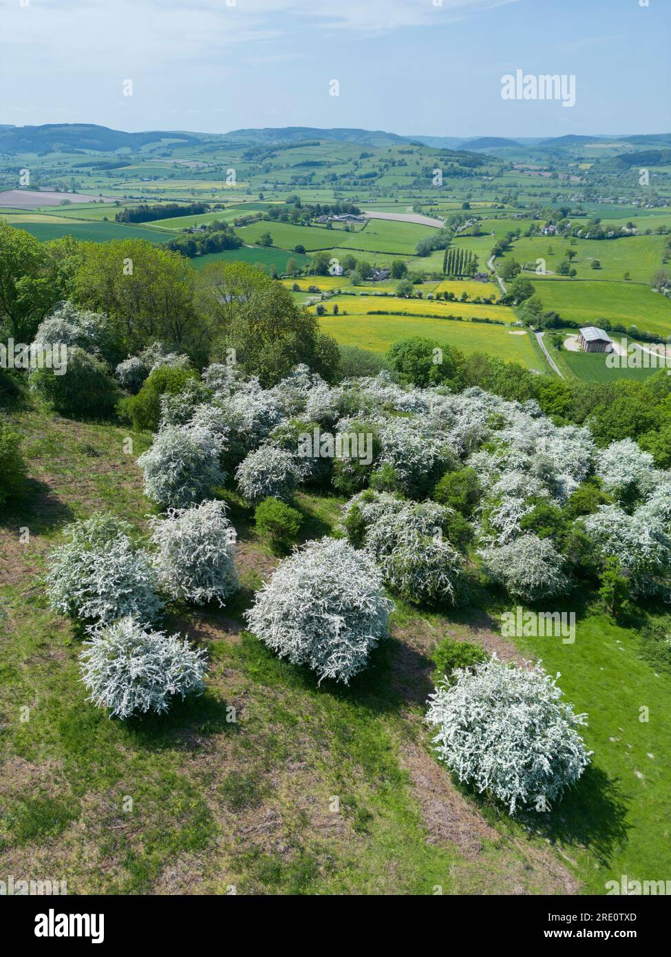 Spring in the Clun Valley, Shropshire, England, UK Stock Photo - Alamy