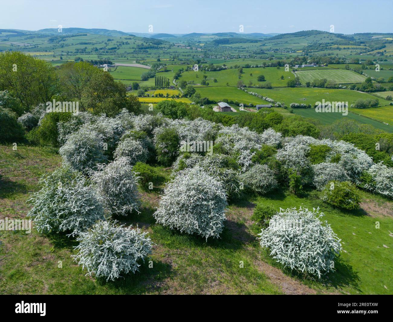 Spring in the Clun Valley, Shropshire, England, UK Stock Photo - Alamy