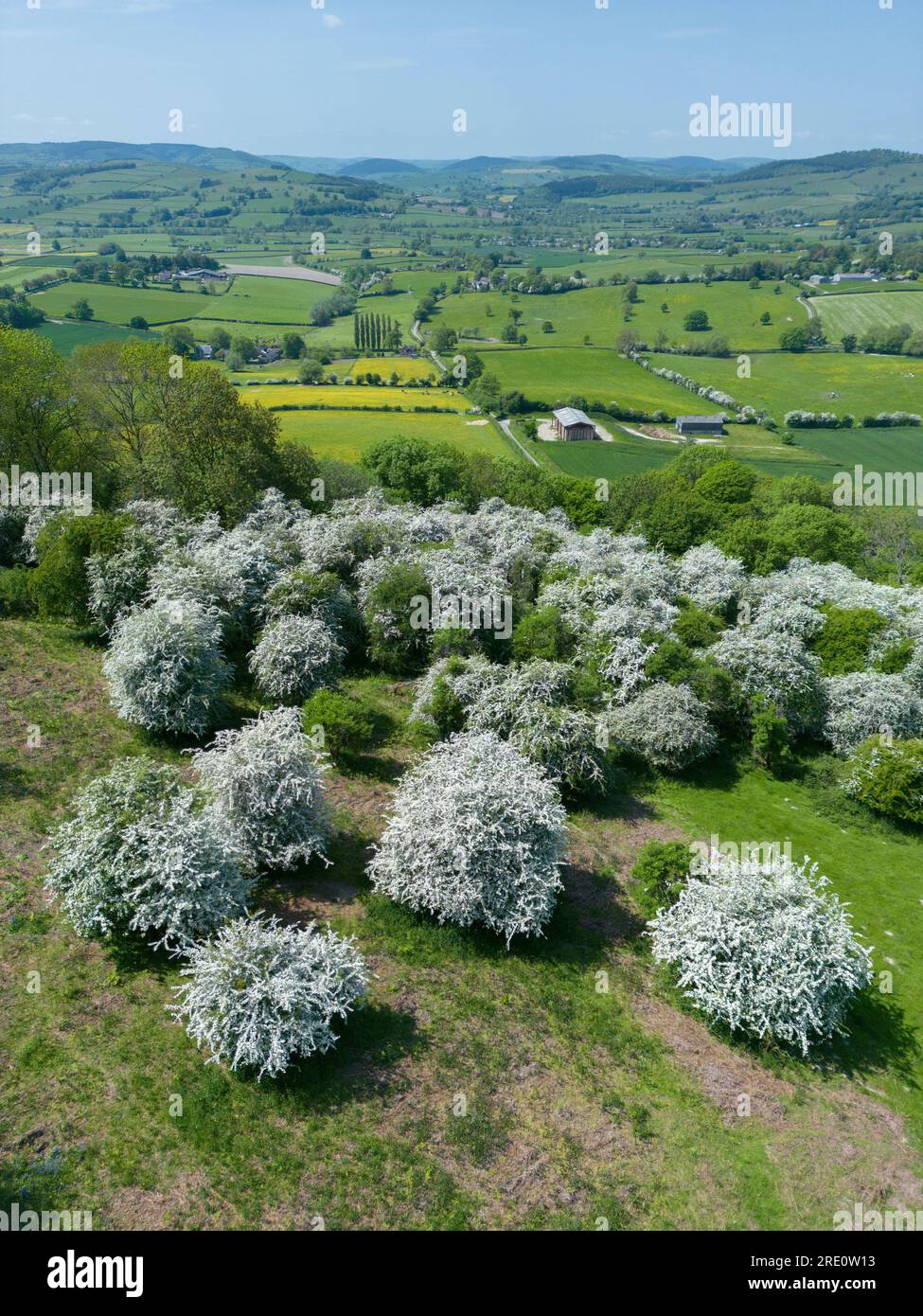 Spring in the Clun Valley, Shropshire, England, UK Stock Photo - Alamy