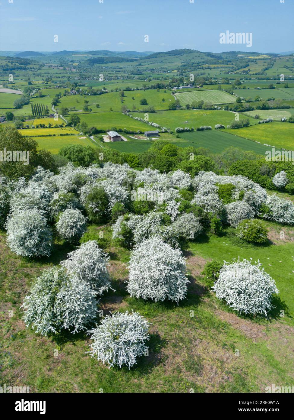 Spring in the Clun Valley, Shropshire, England, UK Stock Photo - Alamy