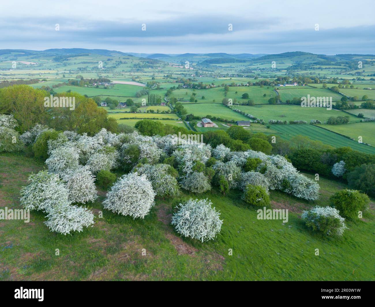 Spring in the Clun Valley, Shropshire, England, UK Stock Photo - Alamy