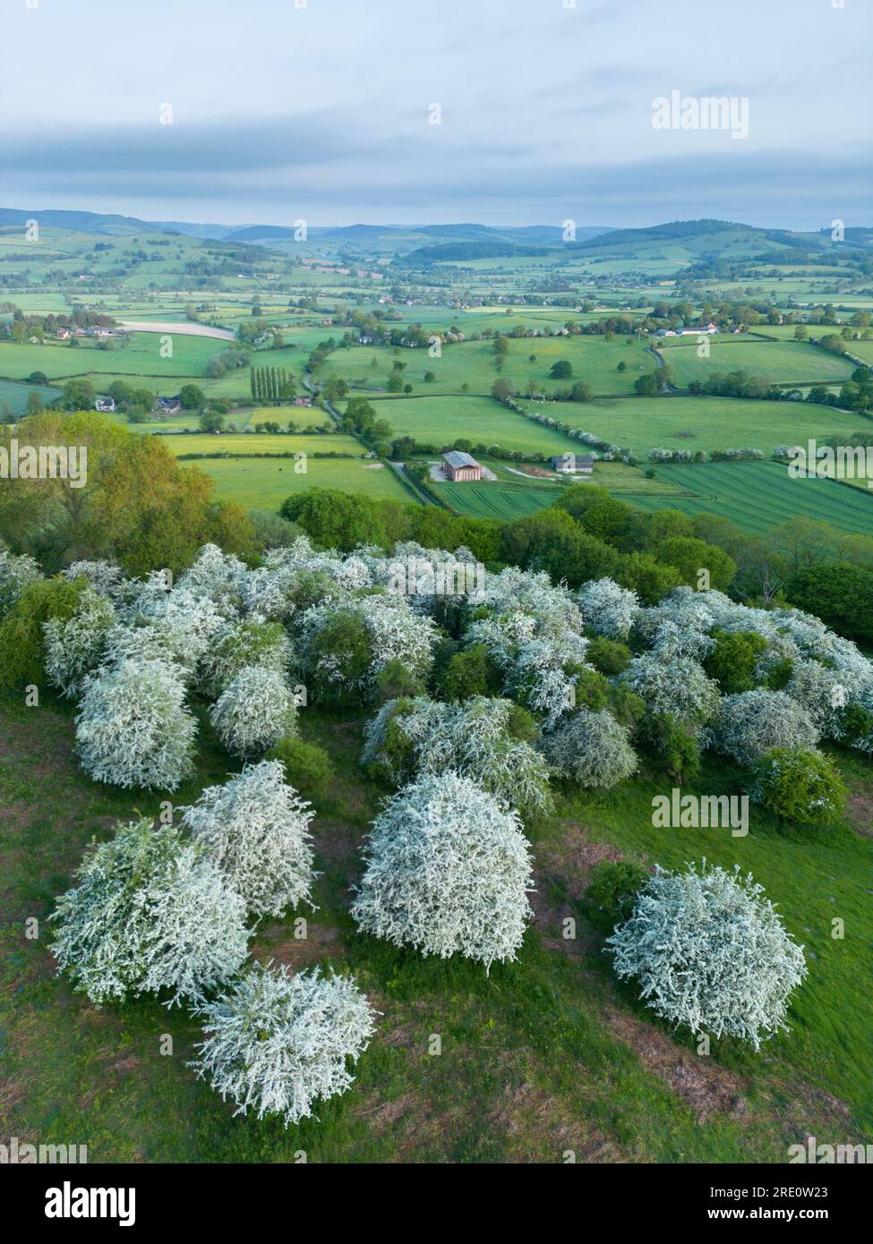 Spring in the Clun Valley, Shropshire, England, UK Stock Photo - Alamy
