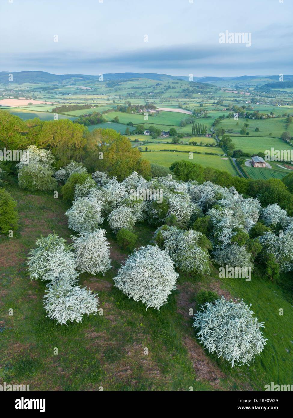 Spring in the Clun Valley, Shropshire, England, UK Stock Photo - Alamy