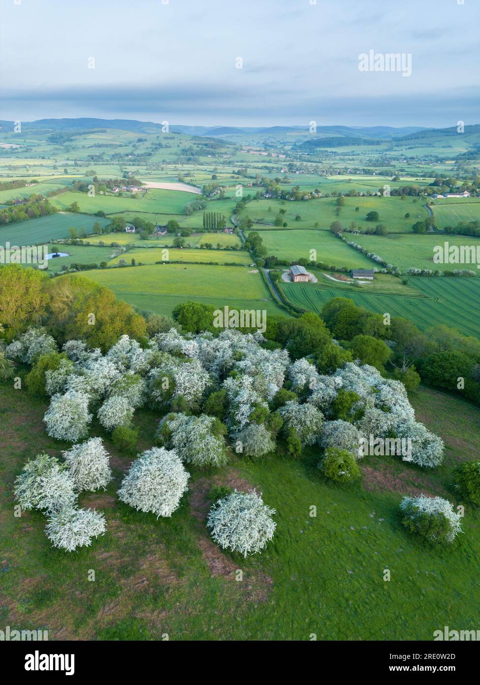 Spring in the Clun Valley, Shropshire, England, UK Stock Photo - Alamy
